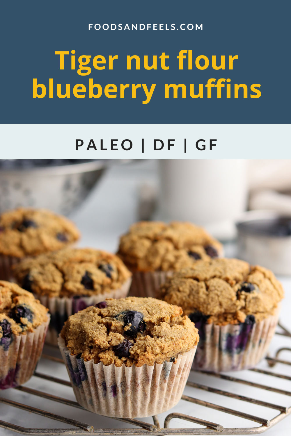Tiger Nut Flour Blueberry Muffins (Paleo & Gluten Free)
